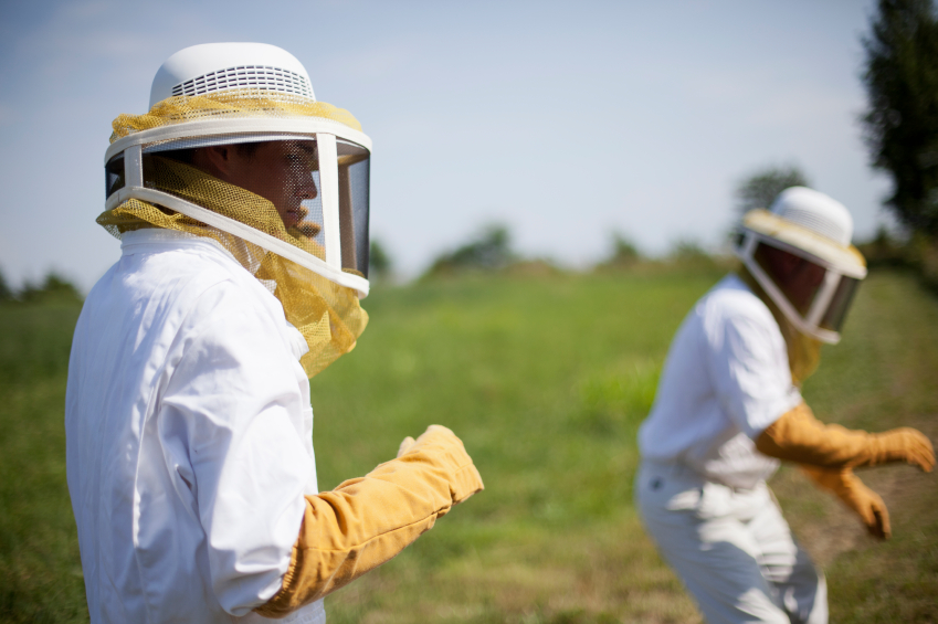 Beekeeping Clothing Must-Haves | Blain's Farm & Fleet Blog