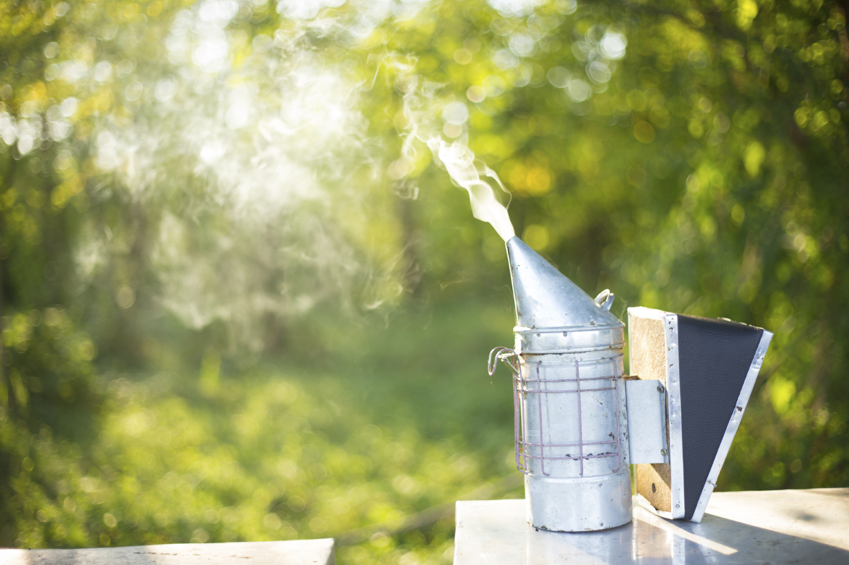 What Does a Bee Smoker Do? | Blain's Farm & Fleet Blog